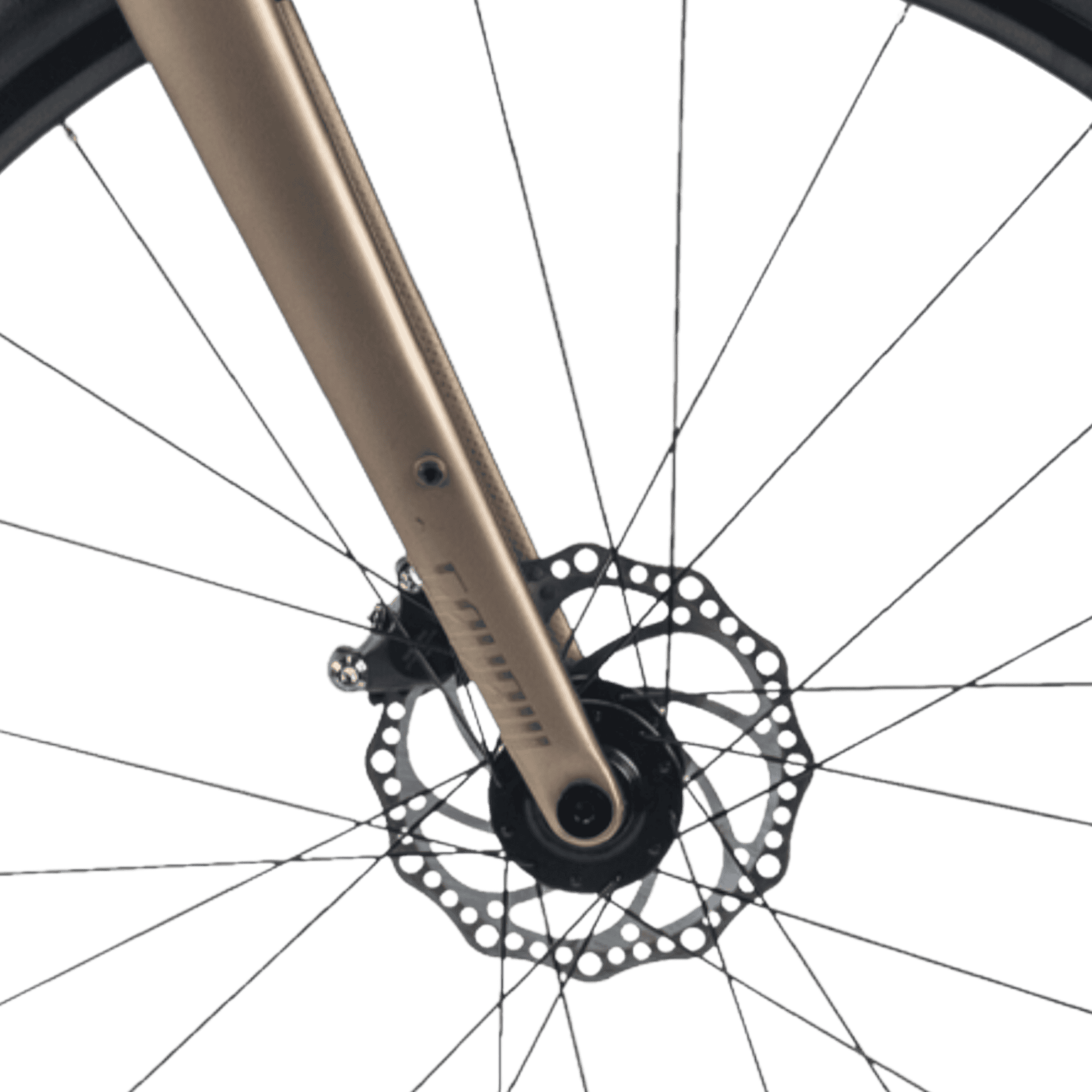 FitTrip Bikes